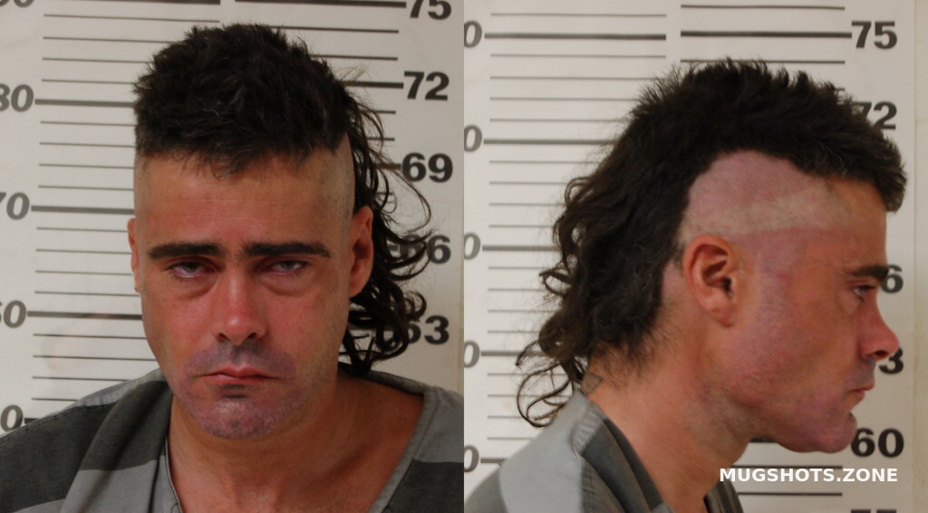 TEIGUE JAMES JOURNEY 06/29/2024 - Henderson County Mugshots Zone
