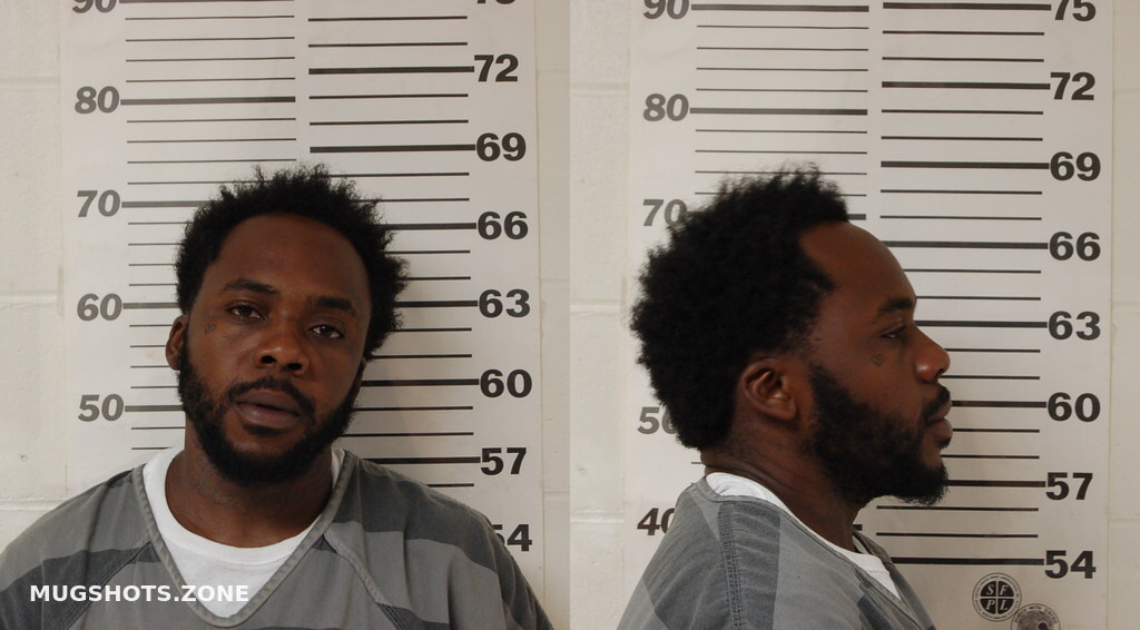 WARREN JSON TYRELL 07/01/2024 - Henderson County Mugshots Zone