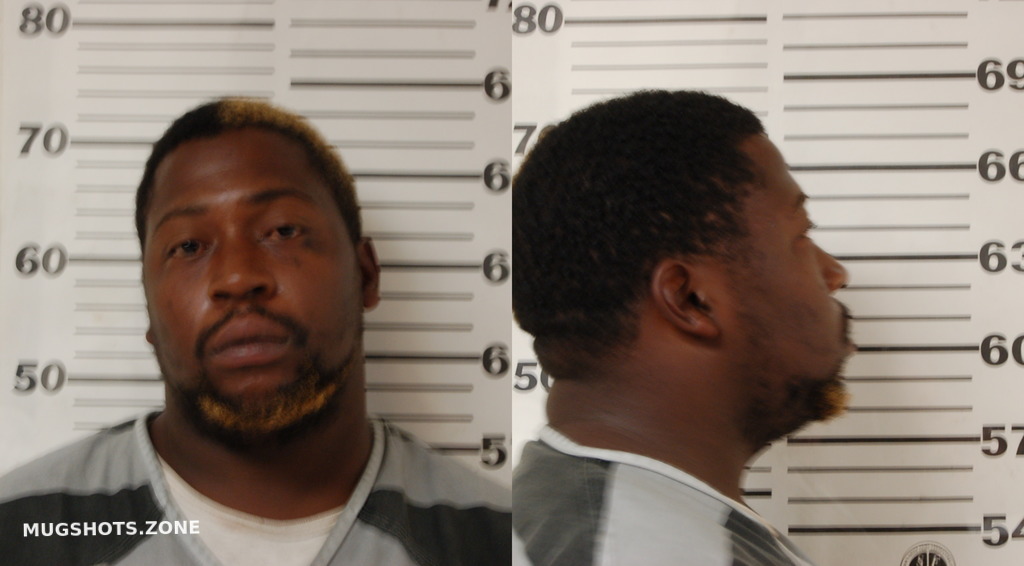 DARTY CAMERON DEMON 07/11/2024 - Henderson County Mugshots Zone