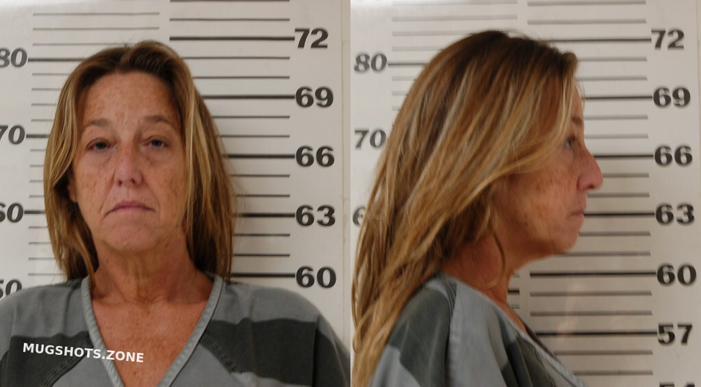 JOHNSON WENDY JANE 07/20/2024 - Henderson County Mugshots Zone