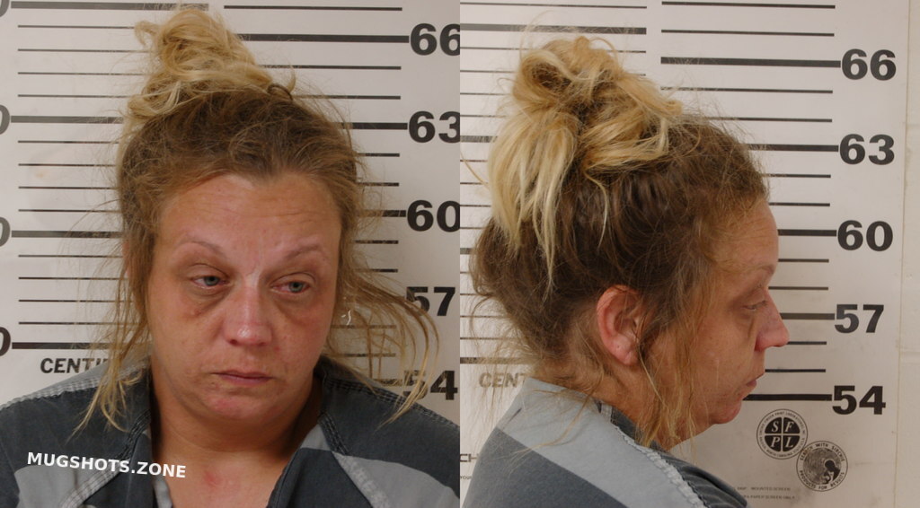 HERRIAGE FIONA ANN 07/31/2024 - Henderson County Mugshots Zone