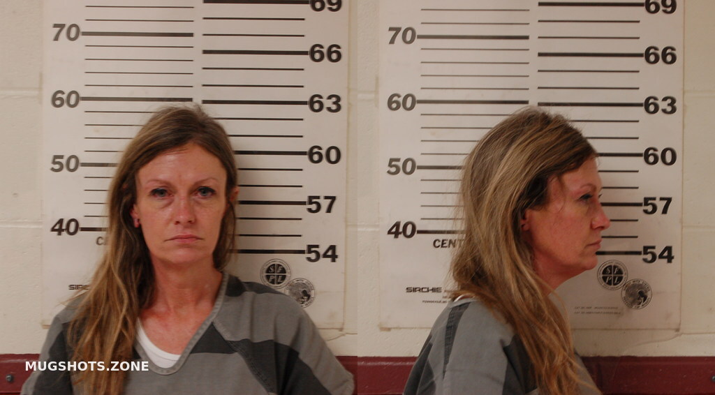 HYETT BRANDY JEAN 08/07/2024 - Henderson County Mugshots Zone