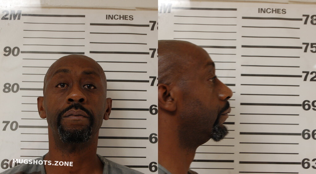 HALL CARY LENARD 08/07/2024 - Henderson County Mugshots Zone