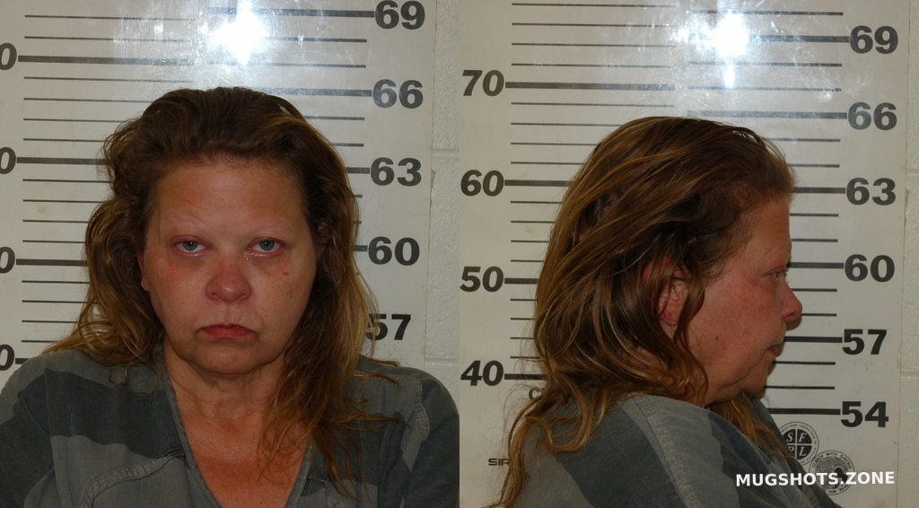 HOLCOMB PAULA JO 08/10/2024 - Henderson County Mugshots Zone