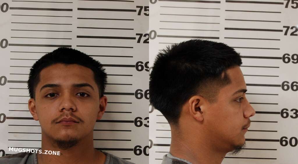 CASTILLO DANIEL 08/22/2024 - Henderson County Mugshots Zone