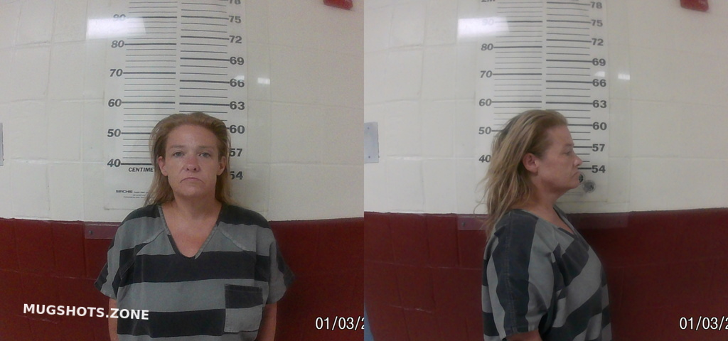 CEARLEY GINA CHRISTINE 08/28/2024 - Henderson County Mugshots Zone