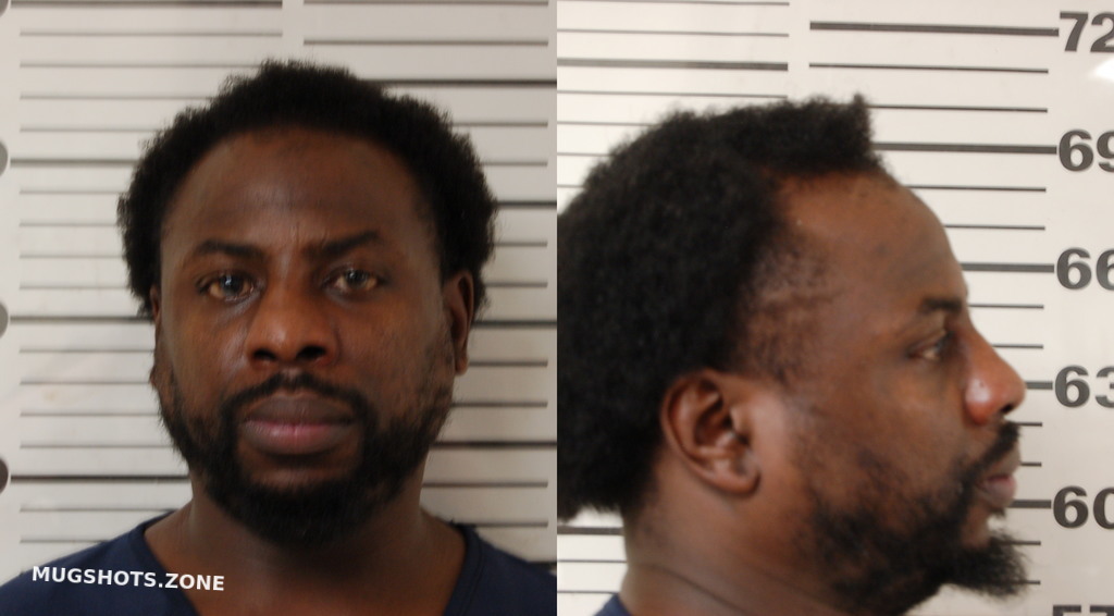 REED DERRICK DESHAUN 08/29/2024 - Henderson County Mugshots Zone