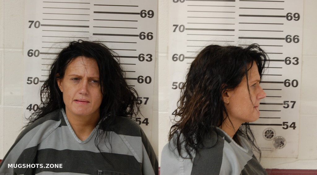 BRITE SHANNON MARIE 09/14/2024 - Henderson County Mugshots Zone