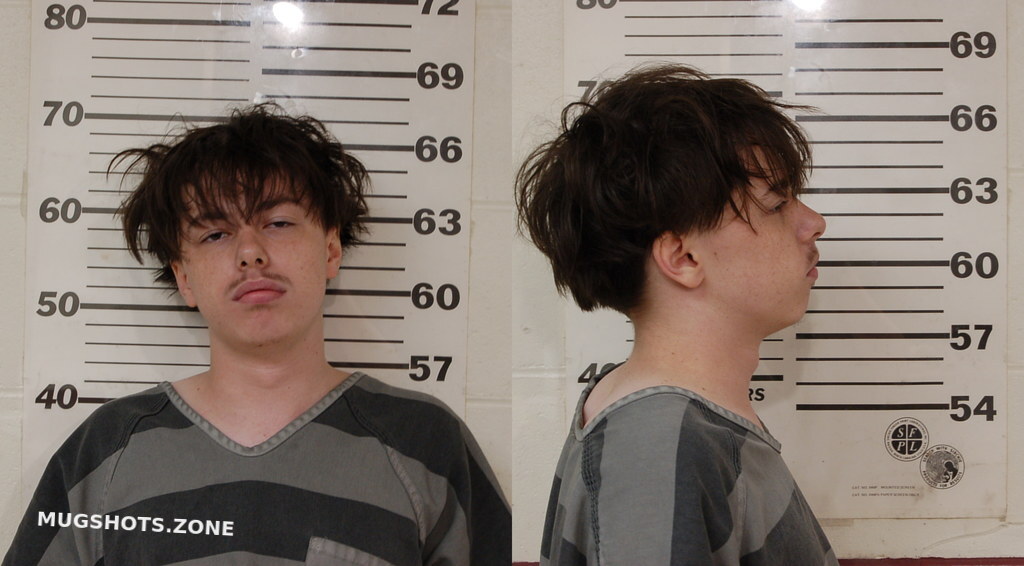 STOVALL JOSHUA SCOTT 09/24/2024 - Henderson County Mugshots Zone