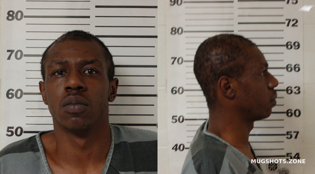 WHITE DAMARCUS LEON 10/25/2024 - Henderson County Mugshots Zone