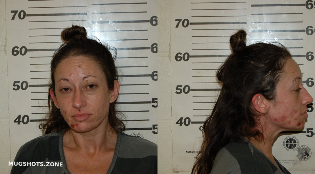 PARSLEY LISA MARIE 10/26/2024 - Henderson County Mugshots Zone