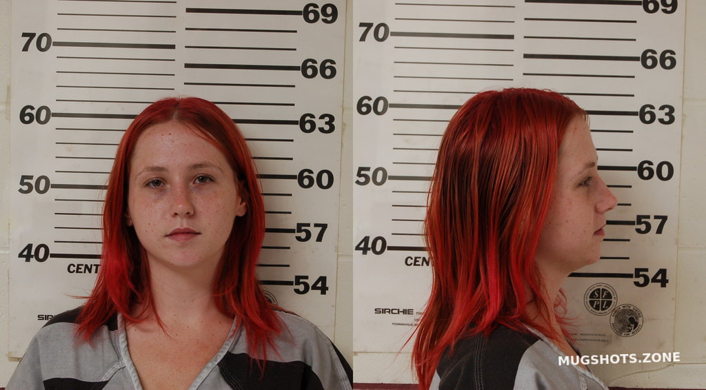 CARLOS KRISTI ANN 10/31/2024 - Henderson County Mugshots Zone