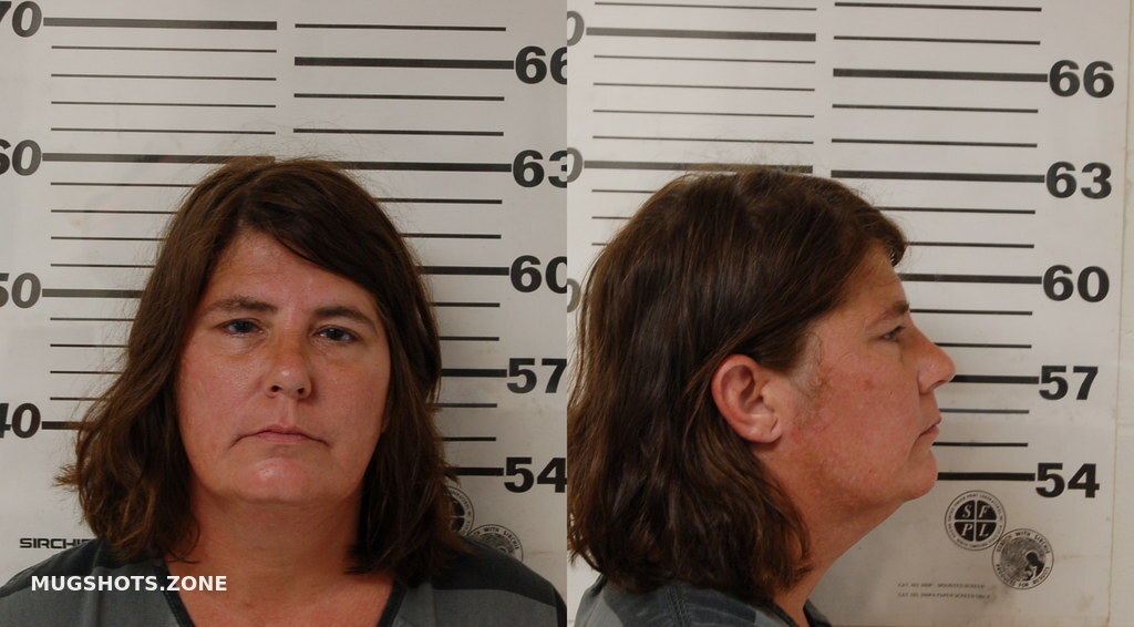 BROWN TARA KELLIE 10/31/2024 - Henderson County Mugshots Zone