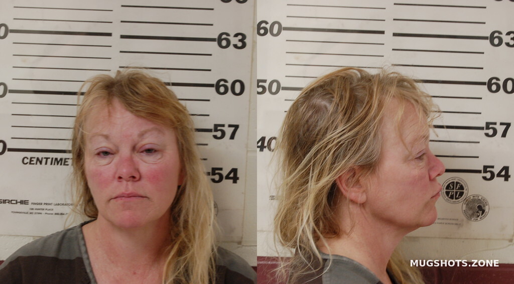 KAMP JOY ELIZABETH 11/08/2024 - Henderson County Mugshots Zone