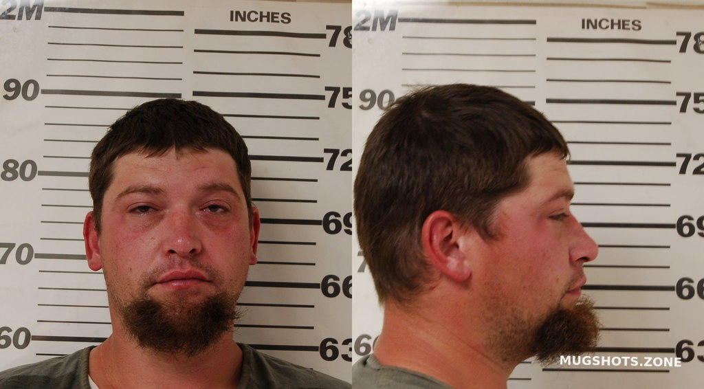 MILLER CARL STEVEN JR. 11/15/2024 - Henderson County Mugshots Zone