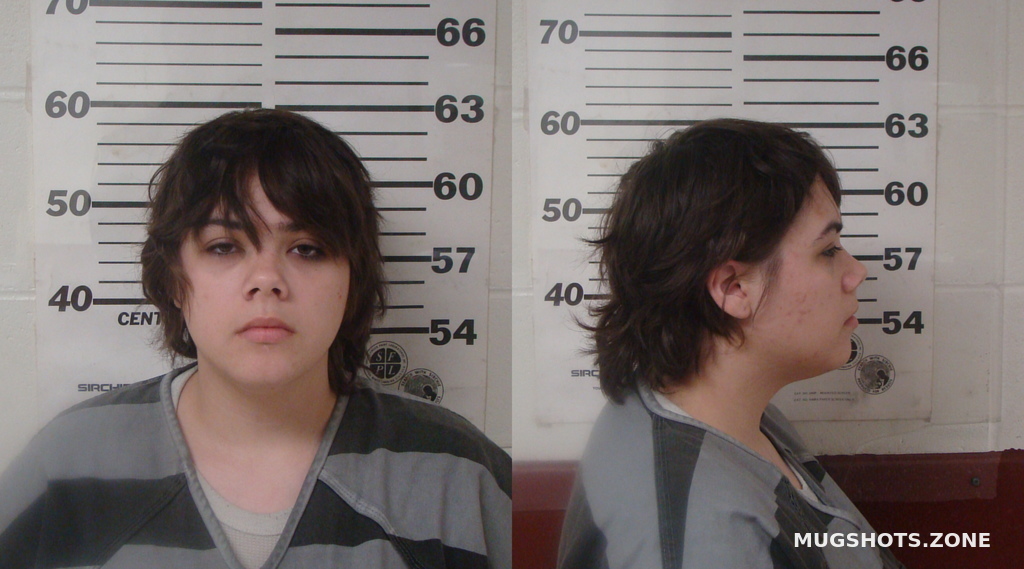 PHILLIPS MEAGHAN RENEE 11/27/2024 - Henderson County Mugshots Zone
