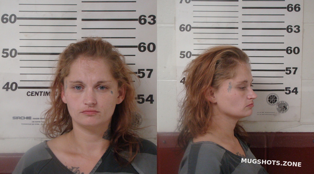 HIGGS RACHEL ELIZABETH 11/30/2024 - Henderson County Mugshots Zone
