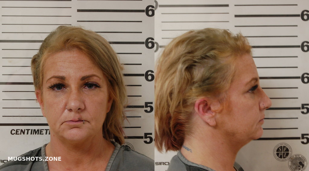 LEWIS AUDREY LEE 12/14/2024 - Henderson County Mugshots Zone