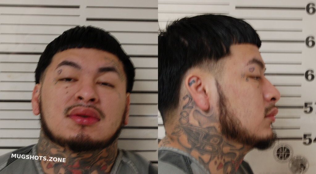 WING KYLE JAVIER 12/19/2024 - Henderson County Mugshots Zone
