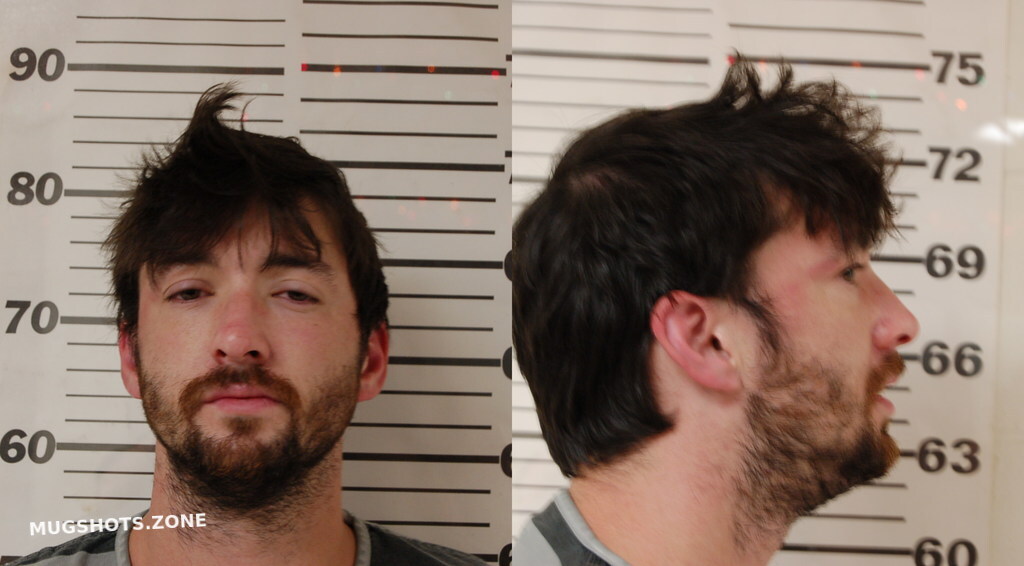 SHERRELL CHAD WYATT 12/26/2024 - Henderson County Mugshots Zone