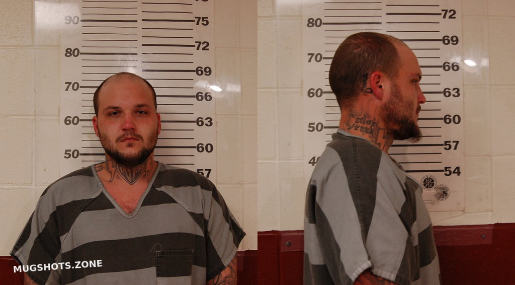 DAVIS PAYTON BAILEY 01/05/2025 - Henderson County Mugshots Zone