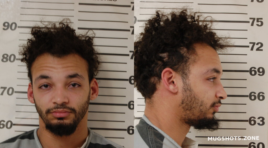 COFER AARON LEE BRONSON 01/08/2025 - Henderson County Mugshots Zone