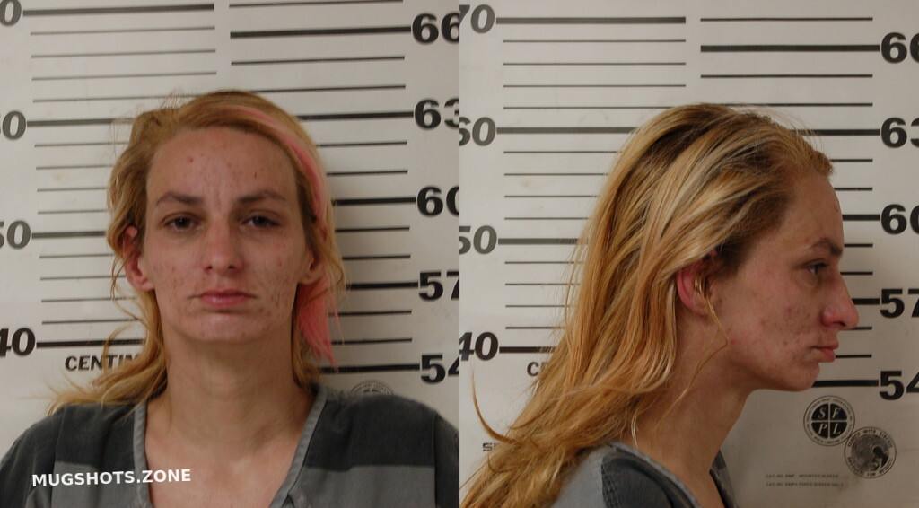 GREEN KIMBERLY RENEE 01/19/2025 - Henderson County Mugshots Zone
