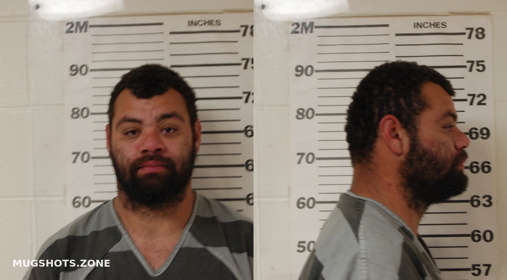 COPELAND JOSHUA DALE 01/19/2025 - Henderson County Mugshots Zone
