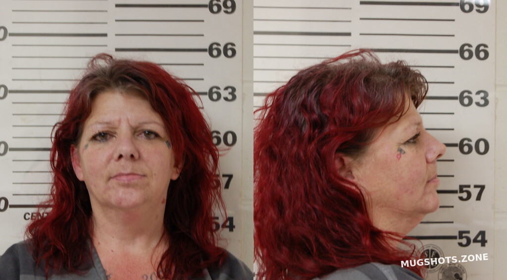 SMITH TONI ELLIOTT 01/28/2025 - Henderson County Mugshots Zone