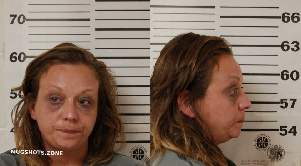 HERRIAGE FIONA ANN 02/06/2025 - Henderson County Mugshots Zone