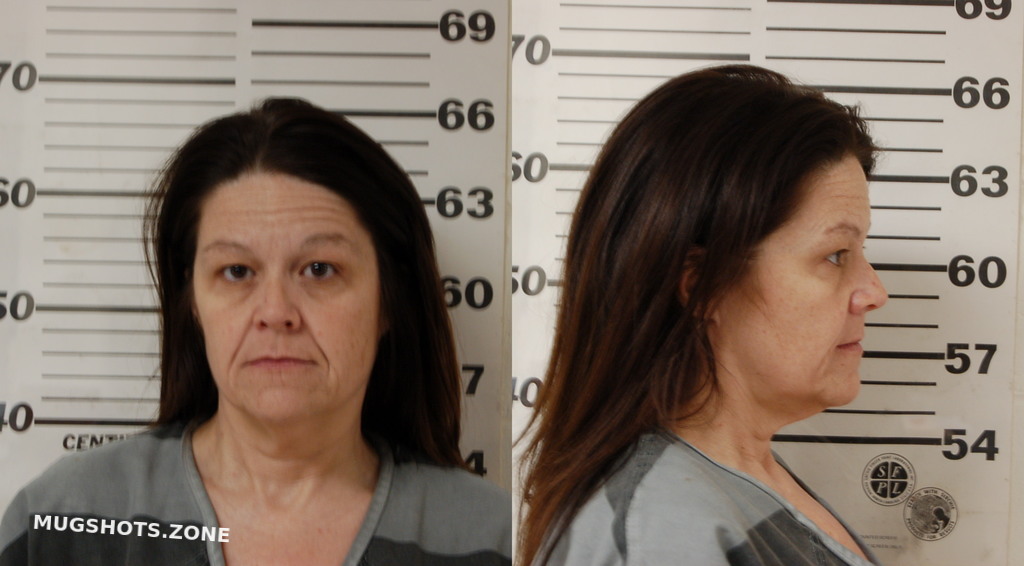 STUBBLEFIELD TONYA MICHELLE 02/11/2025 - Henderson County Mugshots Zone