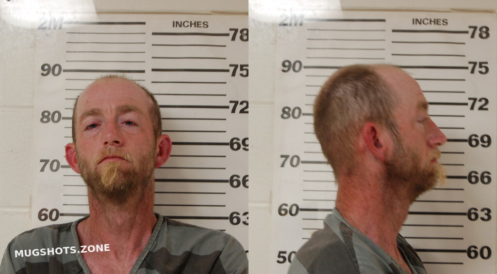OWINGS MICHAEL SHANE 02/18/2025 - Henderson County Mugshots Zone