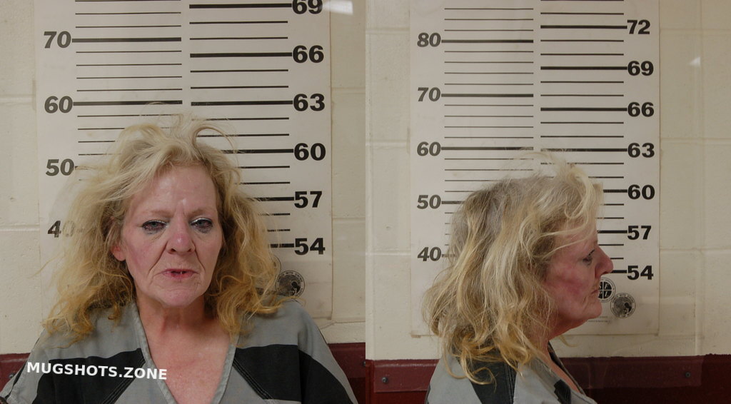 BAIRD REGINA RENAE 02/18/2025 - Henderson County Mugshots Zone