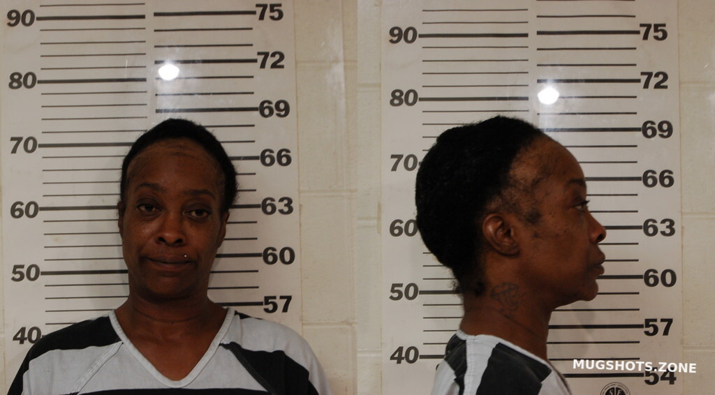 SIMS LATARA SHANTRAIL 02/24/2025 - Henderson County Mugshots Zone