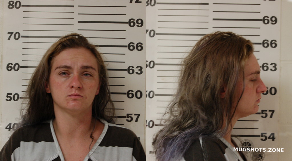 CULLIPHER DANIELLE LYN 03/03/2025 - Henderson County Mugshots Zone