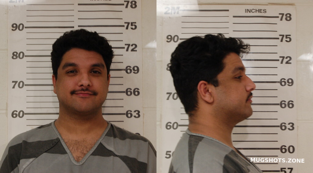 ALI SHAN SYED 03/04/2025 - Henderson County Mugshots Zone