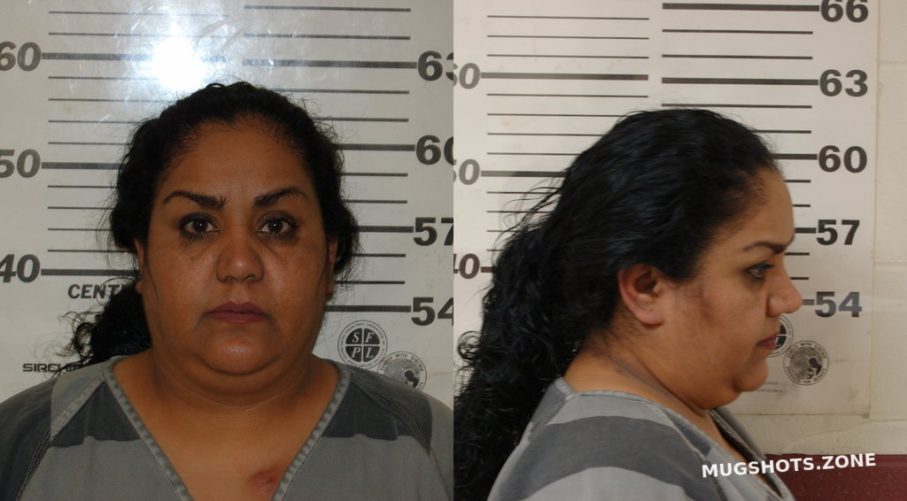 GALVAN ARACELY 03/08/2025 - Henderson County Mugshots Zone