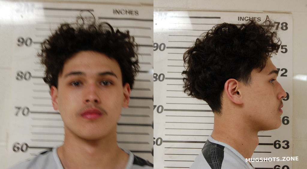 ANGEL KAYLEB JOE 03/22/2025 - Henderson County Mugshots Zone