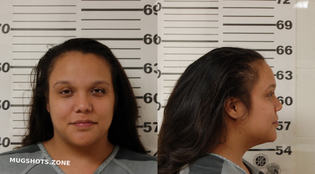 DUNKLIN HANNAH GRACE 03/29/2025 - Henderson County Mugshots Zone