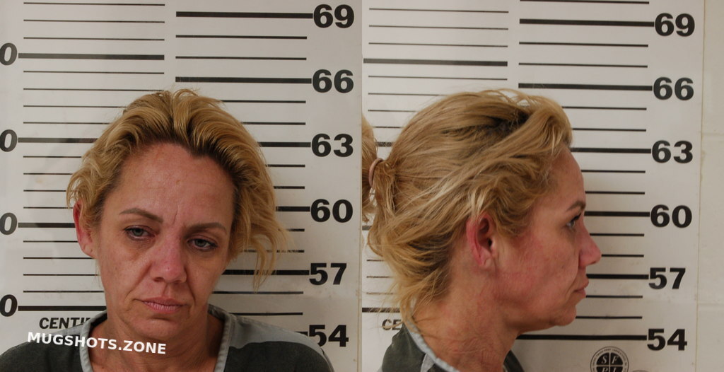 GRAHAM AMANDA GAYLE 04/03/2025 - Henderson County Mugshots Zone