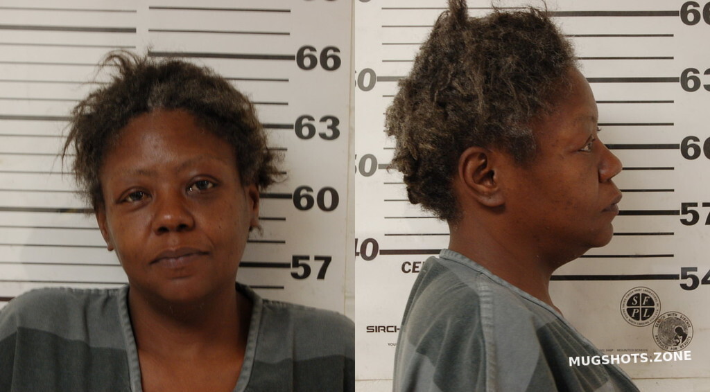 LEWIS LATISHA ANNETTE 04/10/2025 - Henderson County Mugshots Zone