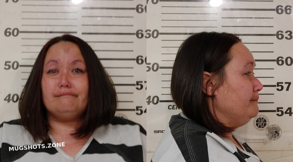 DUNN ANGELA MARIE 04/13/2025 - Henderson County Mugshots Zone