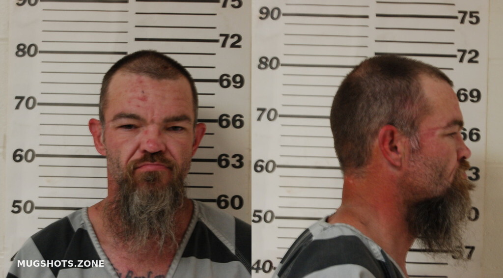 SANDERS DAVID JOE II 04/14/2025 - Henderson County Mugshots Zone