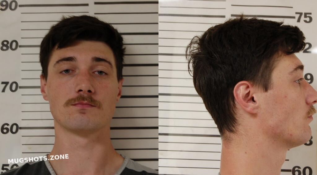 SHOTWELL AUSTIN DWAYNE 04/25/2025 - Henderson County Mugshots Zone