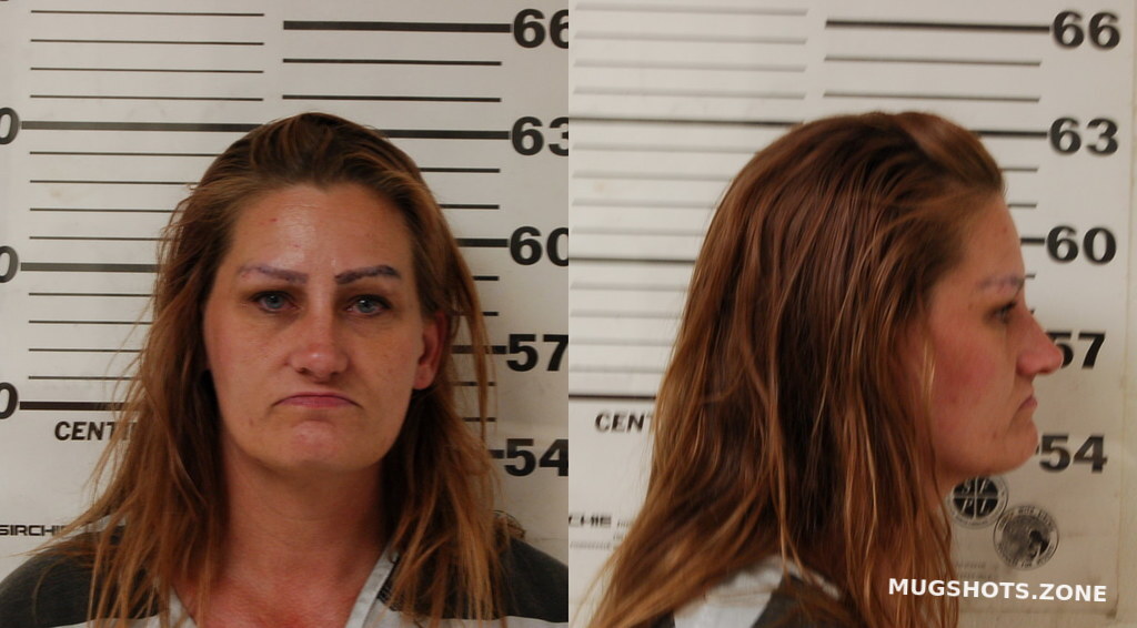 HOOD STEPHANIE ANN 05/01/2025 - Henderson County Mugshots Zone