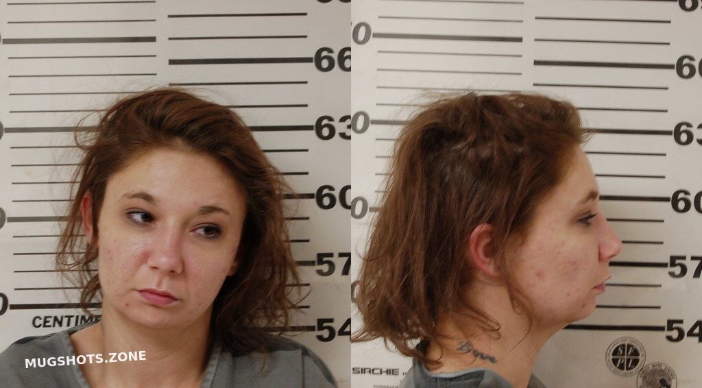 HOAG ASHLEY BREA 05/08/2025 - Henderson County Mugshots Zone