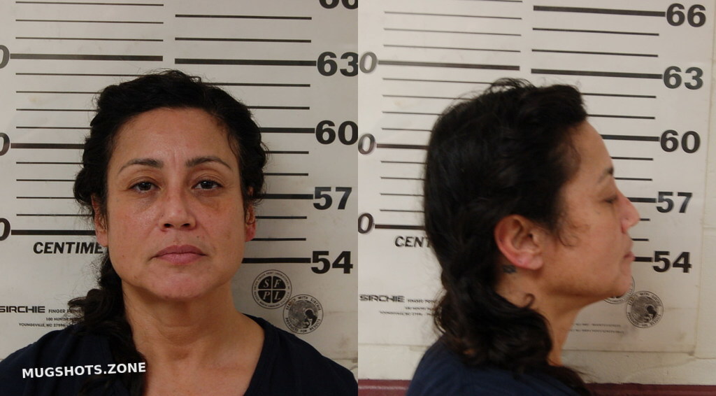 ANDREWS TANYA JEANETTE 05/15/2025 - Henderson County Mugshots Zone