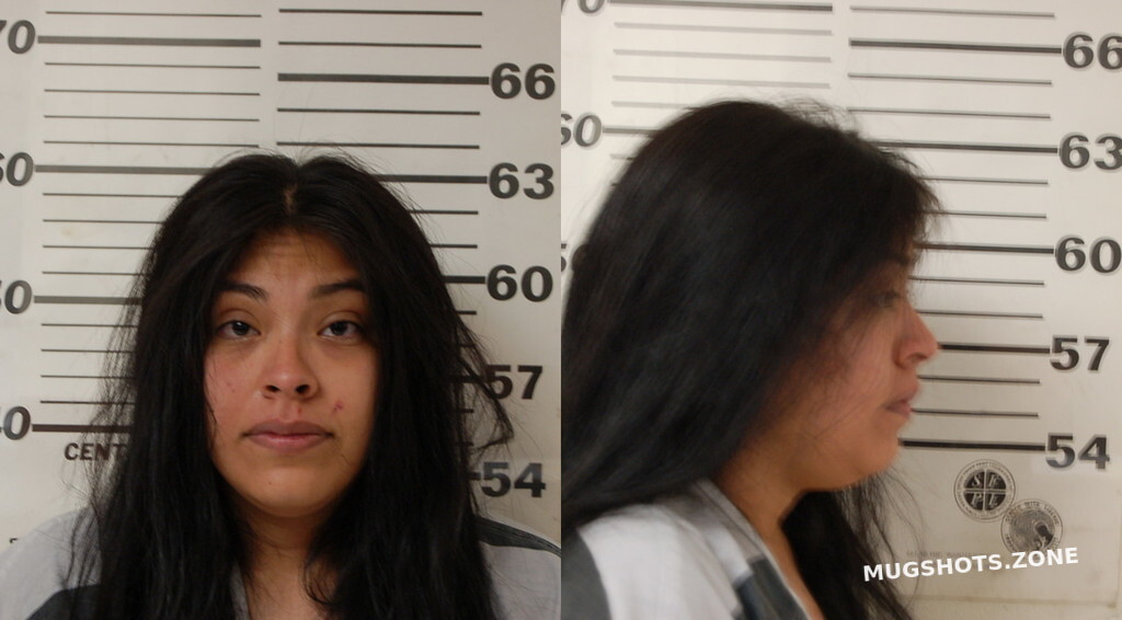 CASTANEDA VERONICA 05/18/2025 - Henderson County Mugshots Zone