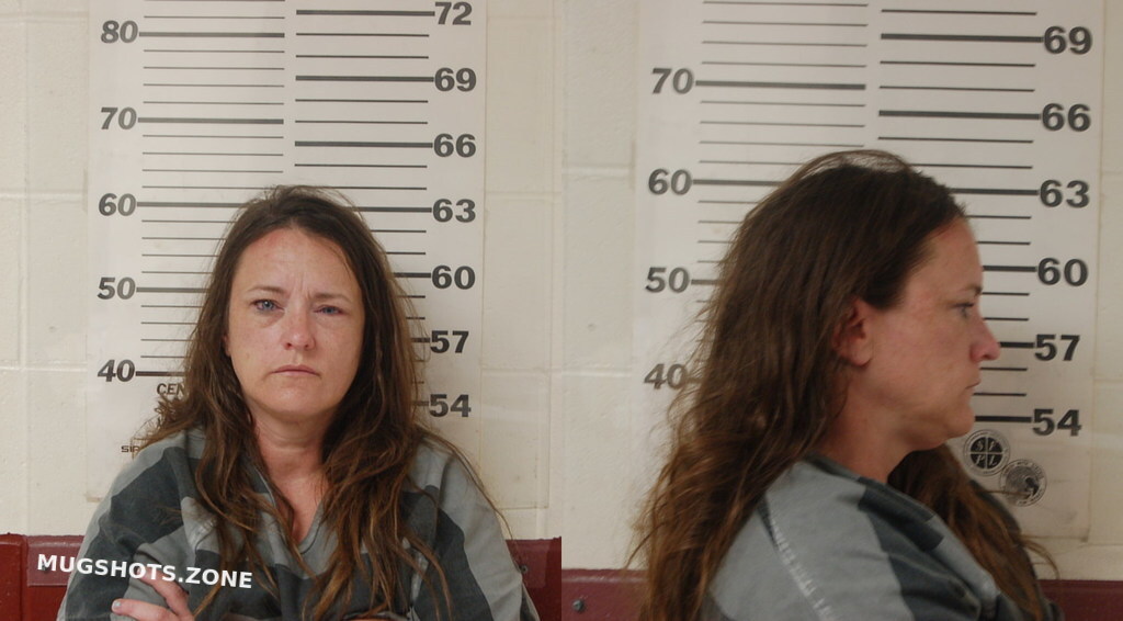 BROWN JESSICA NICOLE 05/28/2025 - Henderson County Mugshots Zone
