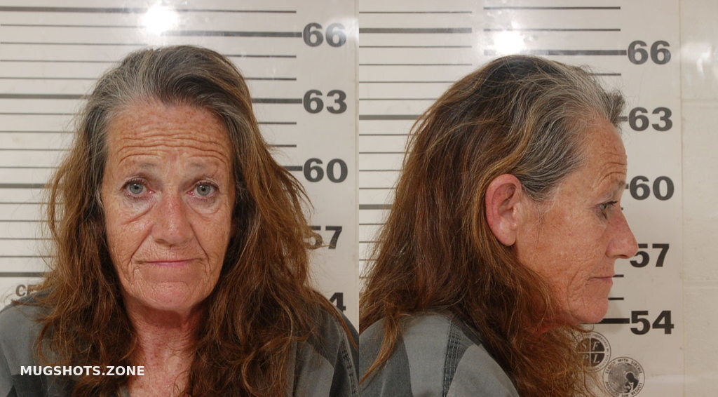 MCDONALD SHARON KAY 06/02/2025 - Henderson County Mugshots Zone